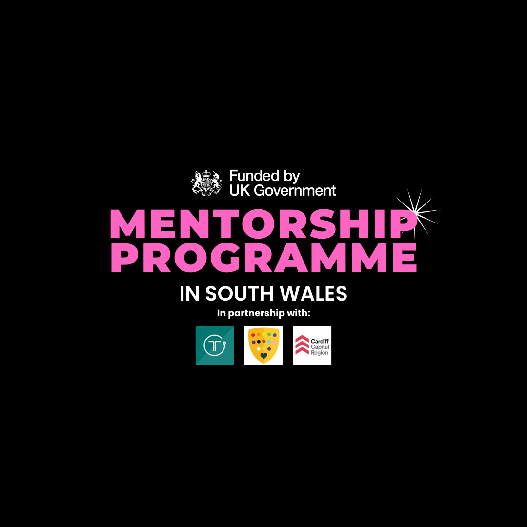 South Wales Mentorship Programme – The Data Gals